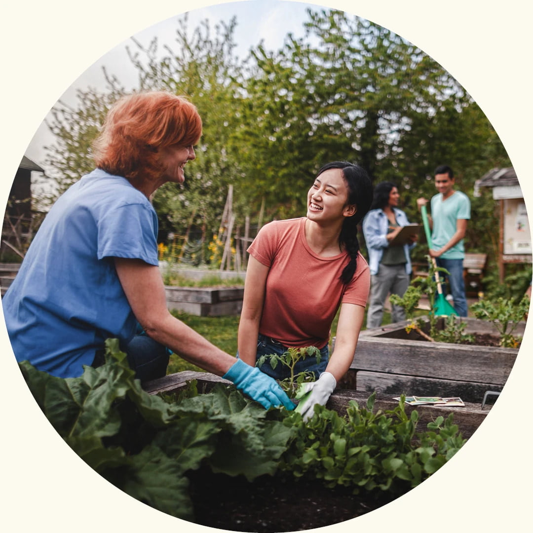 Heylo Homeowners Neighbourhood And Community